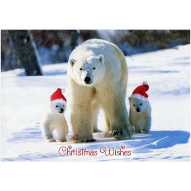 Polar Bear with Cubs Wearing Santa Hats Christmas Card | PaperCards.com