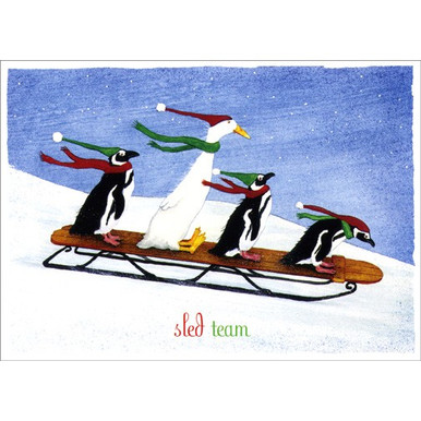 Sled Team Holiday Card | PaperCards.com