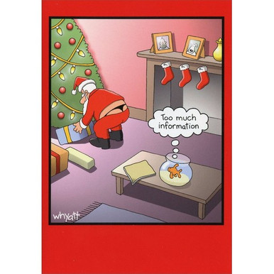 Too Much Information Funny / Humorous Christmas Card | PaperCards.com