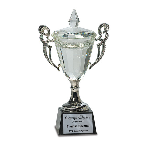 Crystal Cup w/Silver Accents and Lid | Crystal Awards
