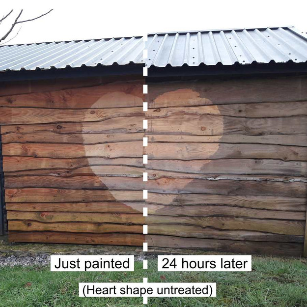 ECO WOOD TREATMENT UK - Non Toxic Wood Stain Power, Mix With Water