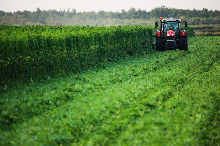 IndiNature - IndiTherm Flexible Hemp Insulation - Celtic Sustainables