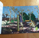Old Knobbley the Oak Tree Book