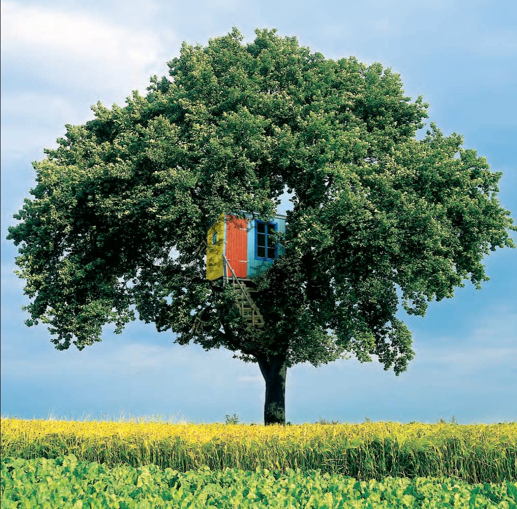 Scented candles, Formaldehyde, Paint and Plants (Part 1) - Celtic ...