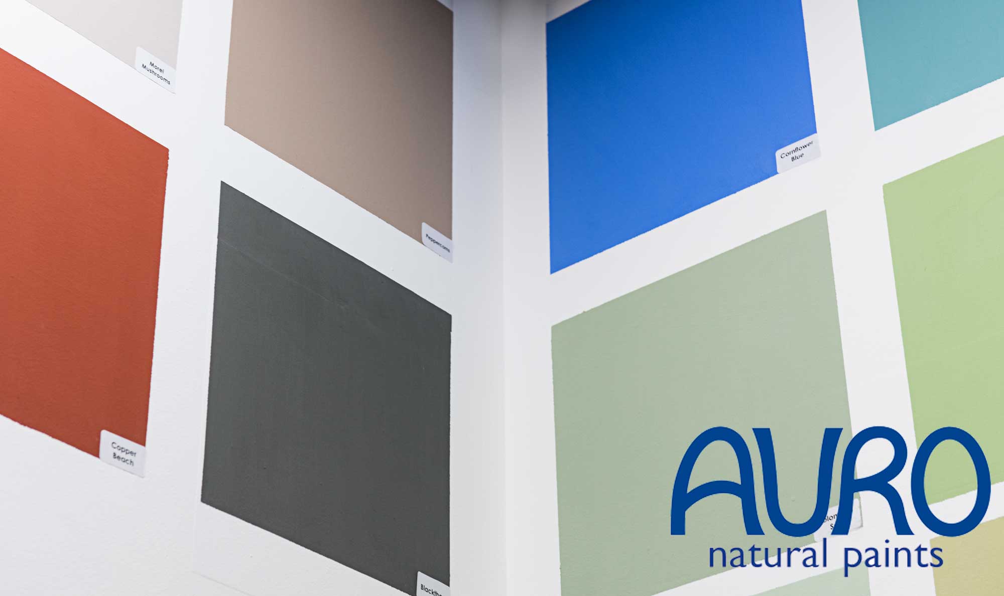 Exciting NEW Colours from Auro - Celtic Sustainables