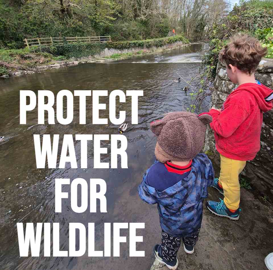 Water Saving Week in 2026 May - Celebrate Rainwater Reuse Week - Celtic ...