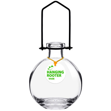 Hanging Ball Glass Rooting Vase | Couronne Co Wholesale