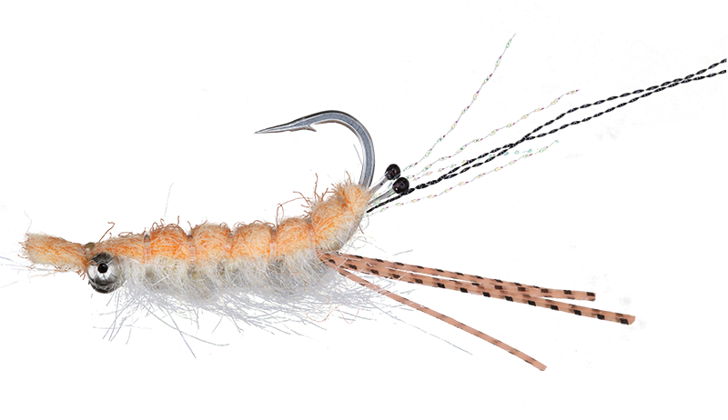 Tan Po Boy Shrimp