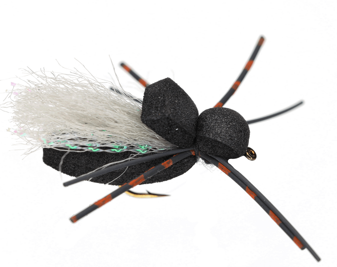 Black Leg Cicada - RoundRocks