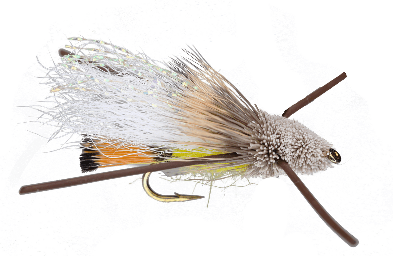 Yellow Tarantula - RoundRocks