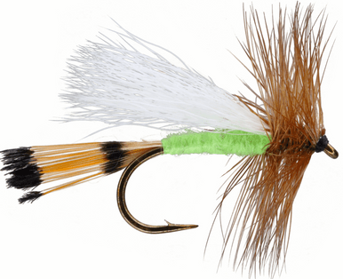 Lime Trude - RoundRocks