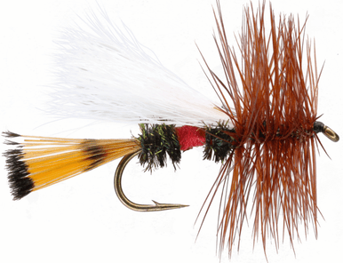 Royal Trude - RoundRocks