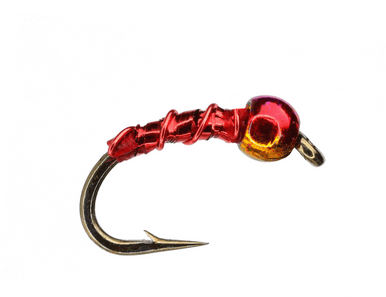 Red Disco - RoundRocks