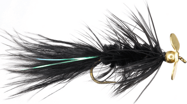 Black Bugger Hummer - RoundRocks