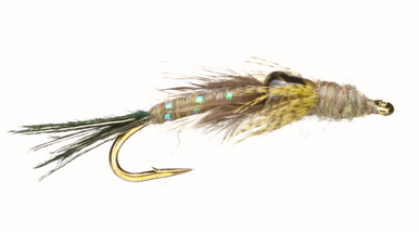 Callibaetis Nymph - RoundRocks