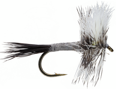 Gray Wulff - RoundRocks