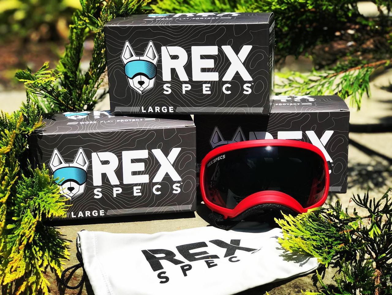 Rex Specs Large Blue