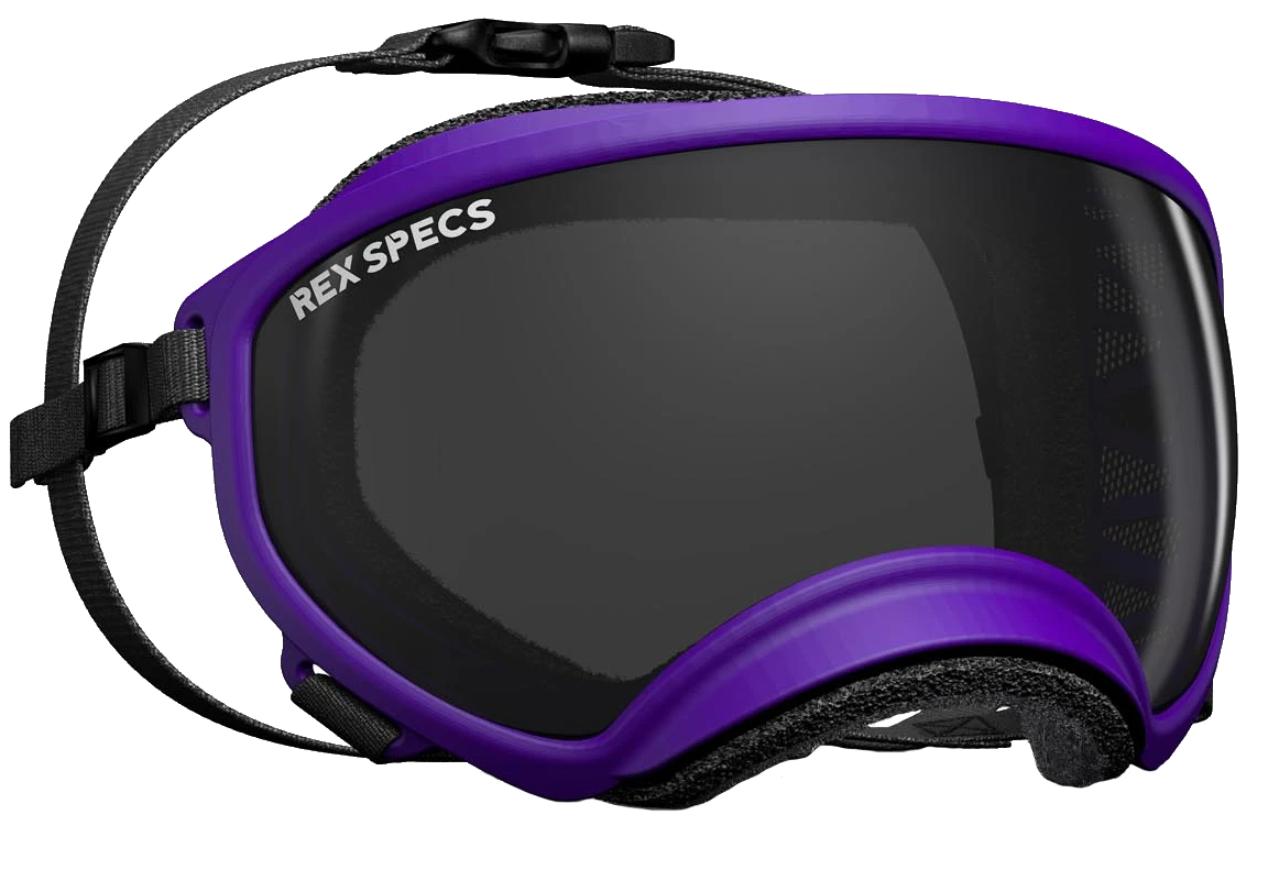 Rex Specs Large Blue
