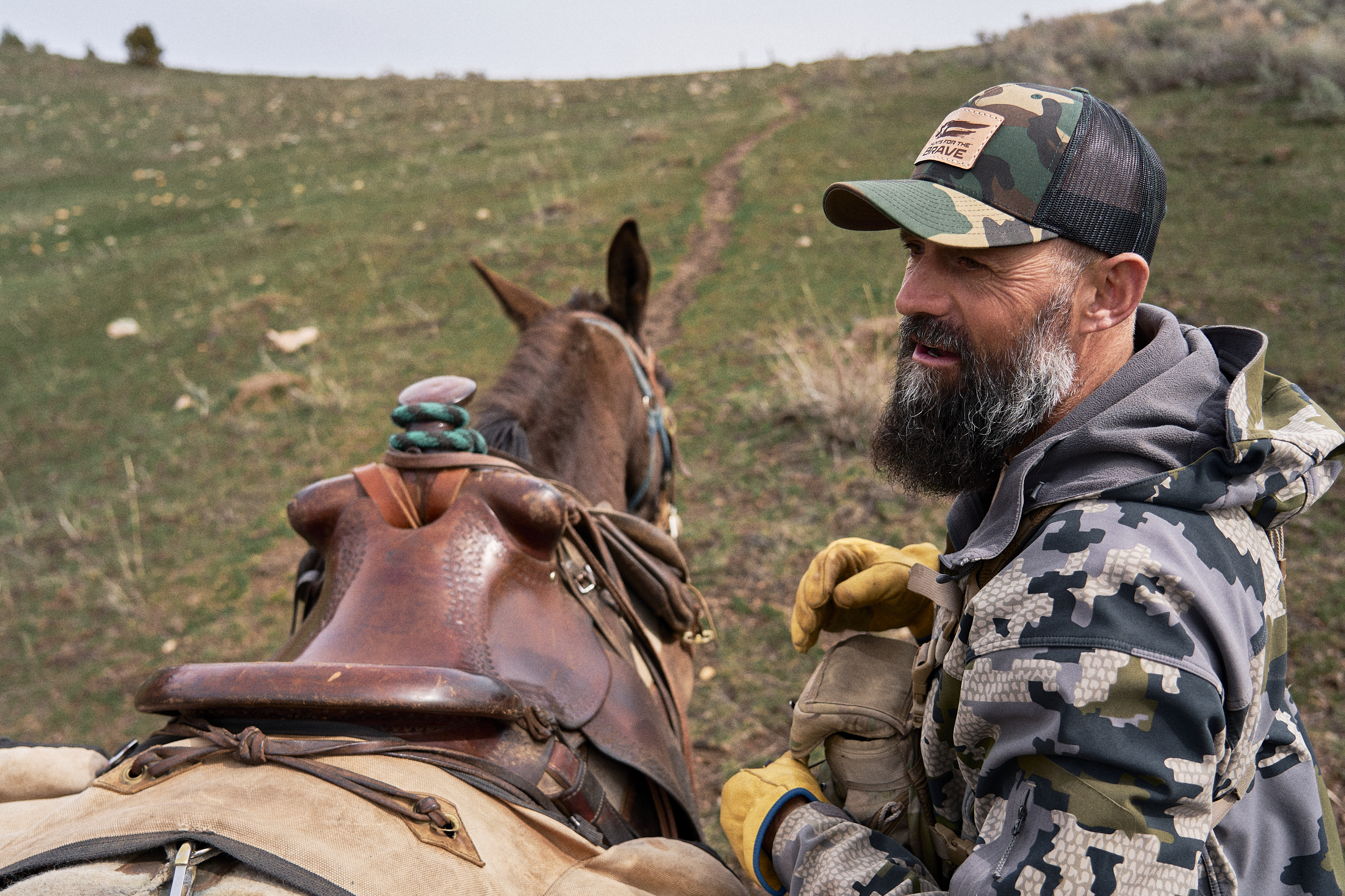 SHED HUNTING IN THE CACHE WITH STEVE SORENSEN - HUXWRX Safety Co.