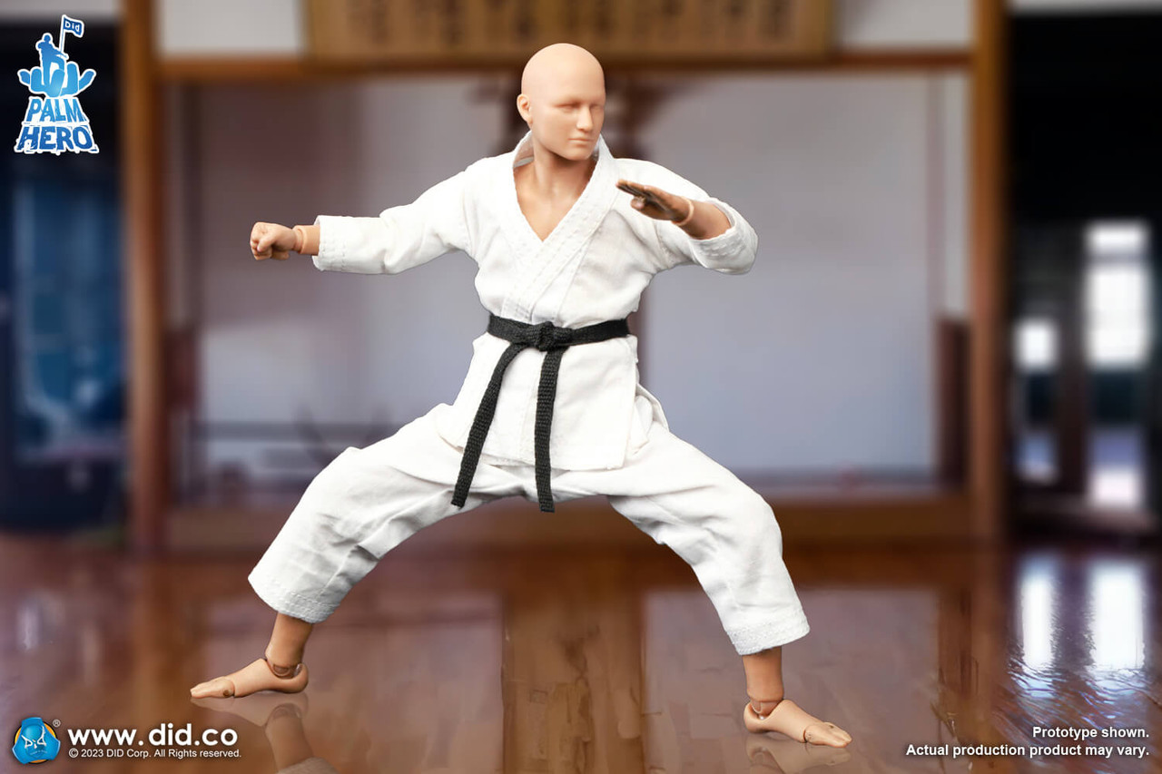 DID (SF80001) 1/12 Scale The Karate Player Figure