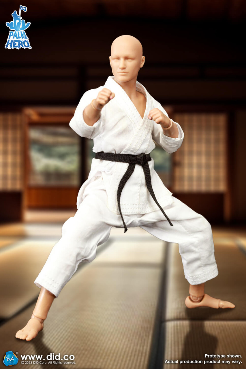 DID (SF80001) 1/12 Scale The Karate Player Figure