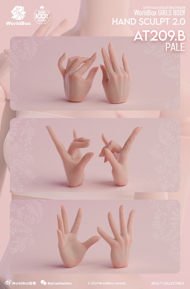 WorldBox (AT209) 1/6 Scale Female Hands Set 2.0 (4 Versions)