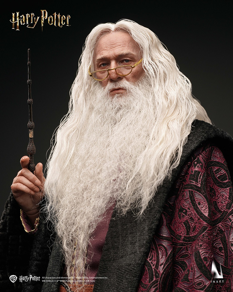 INART (A032D1) 1/6 Scale Harry Potter and the Chamber of Secrets ...