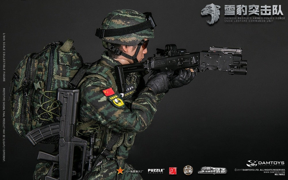 1/6 Scale Chinese People's Armed Police Force Snow Leopard Command Unit ...