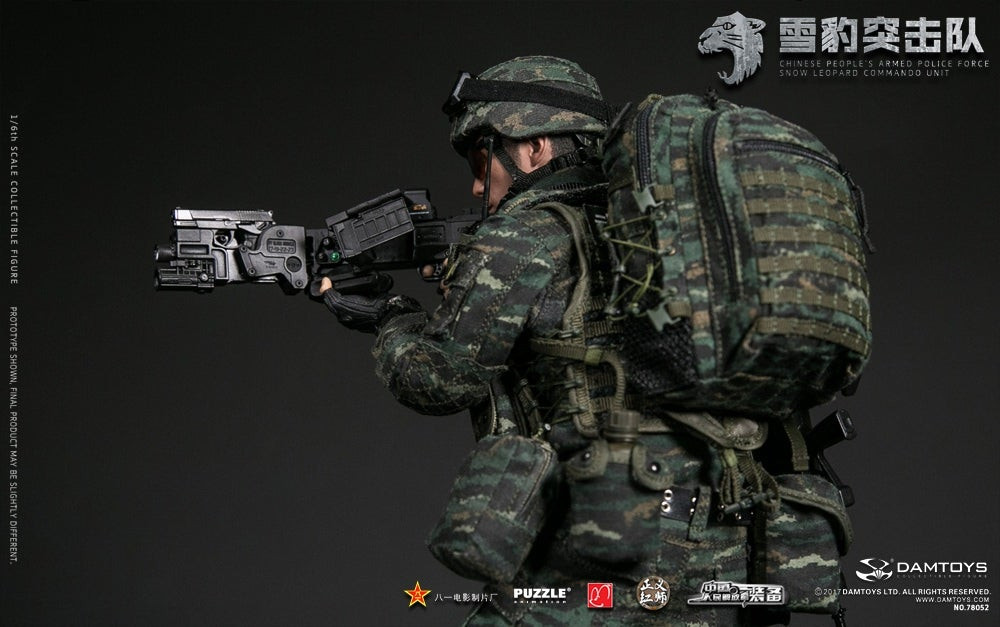 1/6 Scale Chinese People's Armed Police Force Snow Leopard Command Unit ...