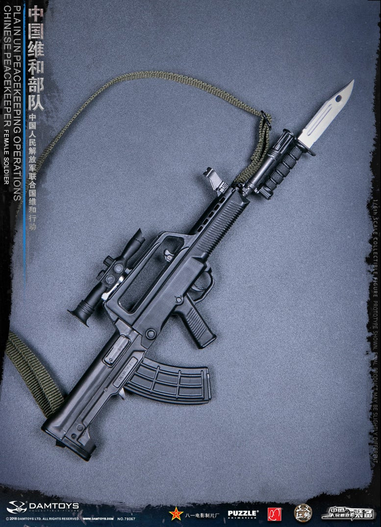 DAMToys (DAM-78067) 1/6 Scale PLA in UN Peacekeeping Operations - China ...