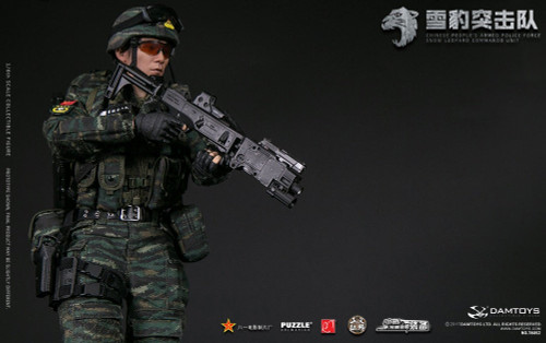 1/6 Scale Chinese People's Armed Police Force Snow Leopard Command Unit ...
