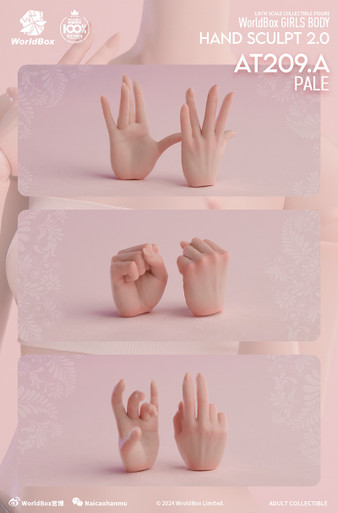 WorldBox (AT209) 1/6 Scale Female Hands Set 2.0 (4 Versions)