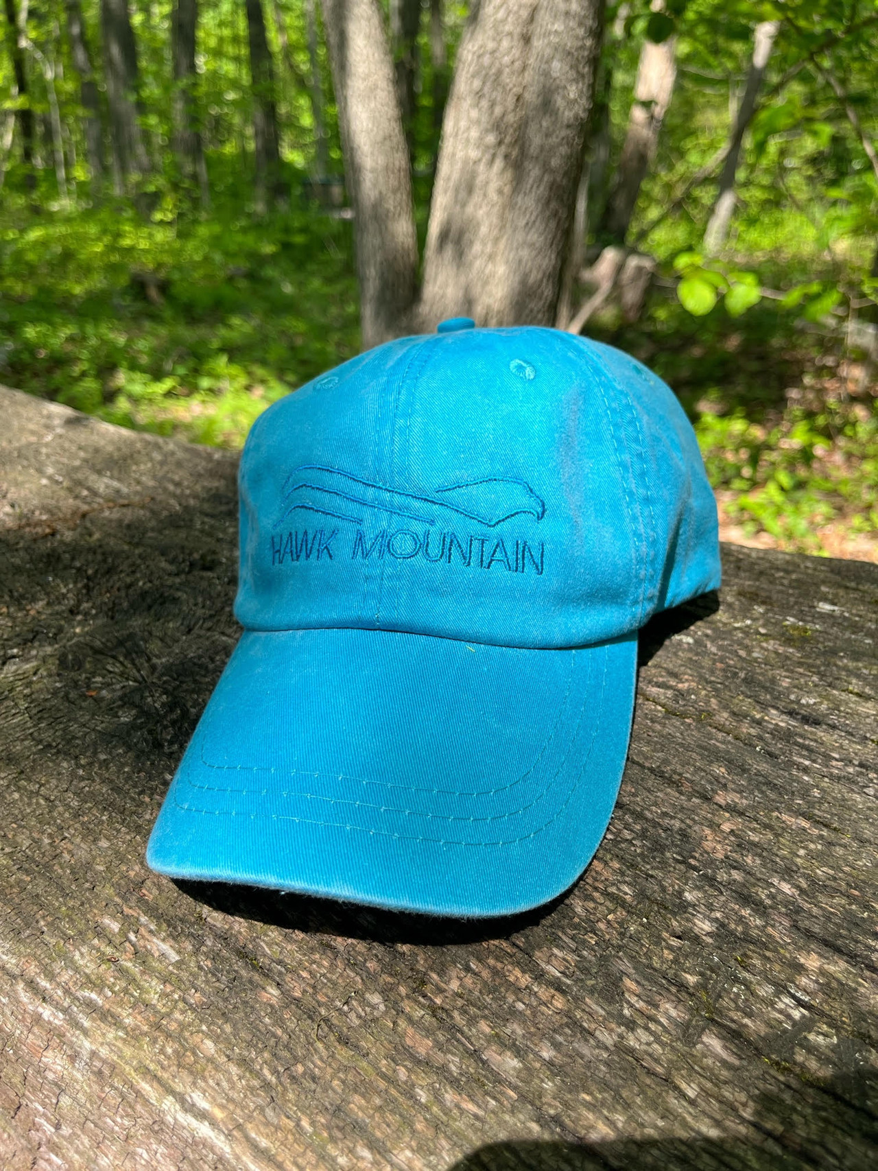 Apparel - Hats - Hawk Mountain