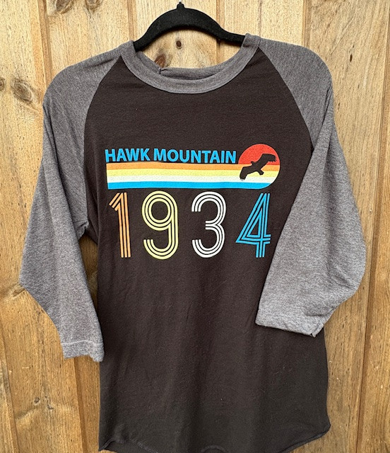 Retro Baseball Tee