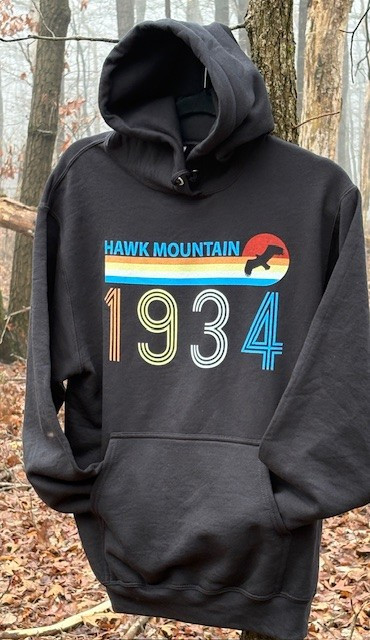 Retro Hoodie