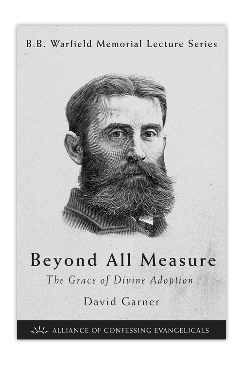 Beyond All Measure: The Grace of Divine Adoption (Booklet) - Reformed ...