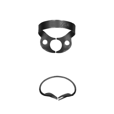 W8A Molars; General, Rubber Dam Clamp