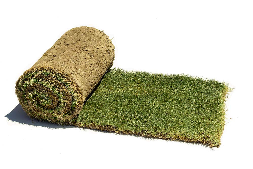 Premium State-Certified Sod for Sale – Pricing, Fresh Sod, Same-Day ...