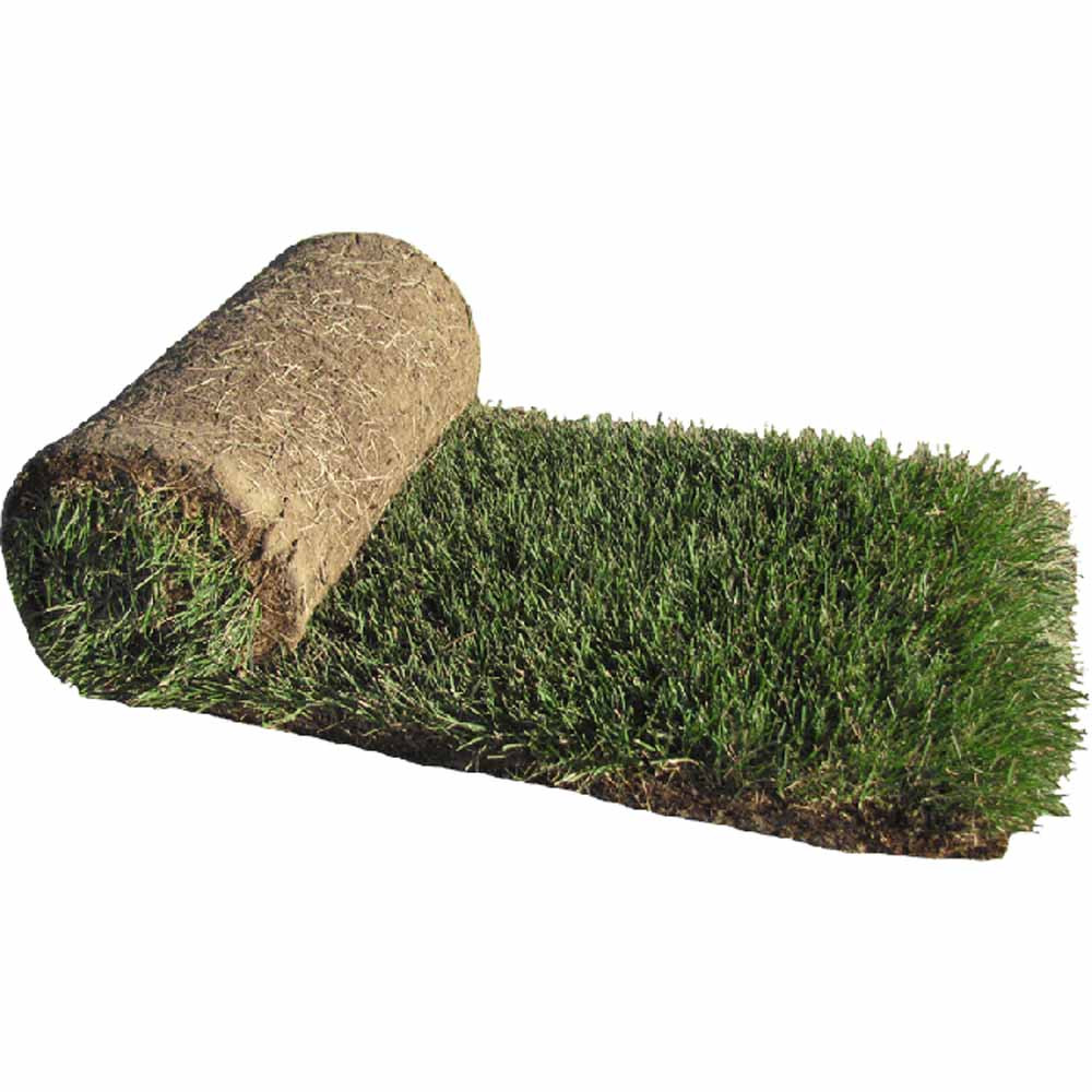 Premium State-Certified Sod for Sale – Pricing, Fresh Sod, Same-Day ...