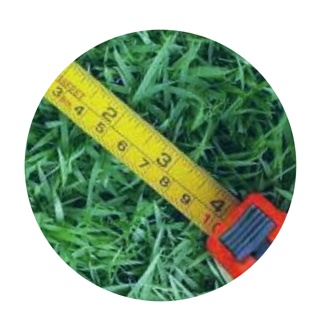 How To Measure For Sod How To Measure For Sod