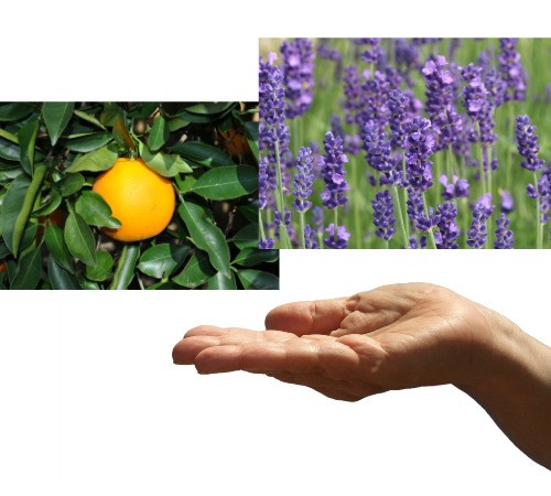 Citrus Hand Cleanser Recipe - Garden Clarity