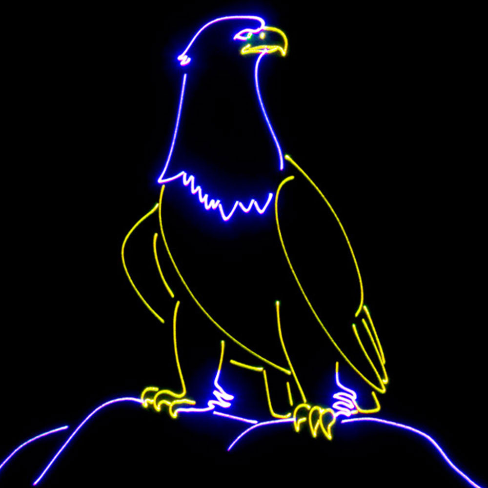 Laserworld CS-1000RGB MKIII Analogue Laser Projector 1000mW - Music On ...