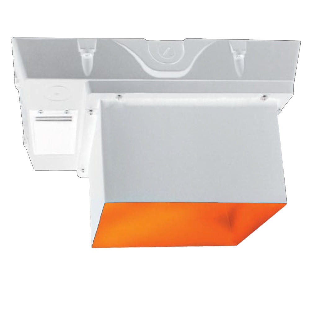 FWC Wildlife Turtle Friendly Outdoor Ceiling Canopy Light Fixture