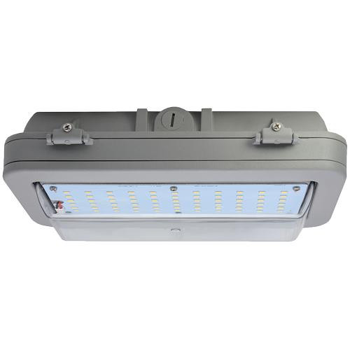 LBS Lighting | 12" Explosion Proof LED Fixture C1D2 Wall