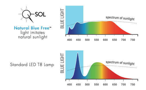 TCP LT818BQ40K | 18W LED Q-SOL T8 Linear Tube 4000K