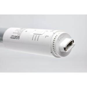 Satco S16441 | 9 ft LED Sign Lamp - 42W Type B - CCT Selectable