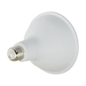 Satco S29481 | 11.5W LED PAR38 Reflector Light Bulb | Green