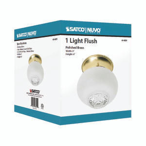 Satco 60-6029 Polished Brass Ceiling Light with Clear Glass