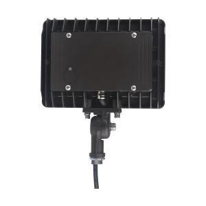 Satco 65-618 Bronze Flood Light