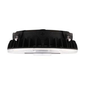 Satco 65-626 Bronze Canopy Ceiling Light
